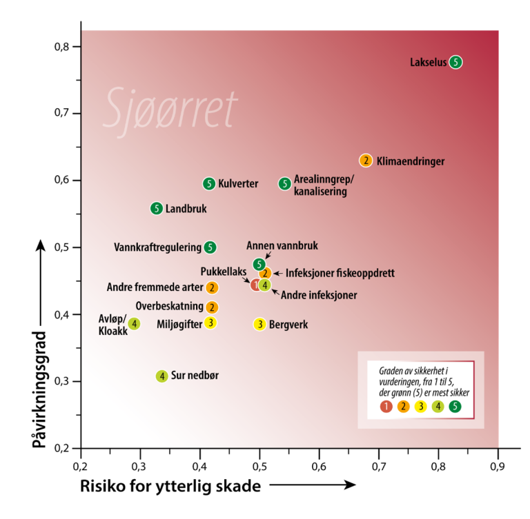 Lakselus er sjøørretens største trussel - NJFF Lakselus er sjøørretens største trussel - NJFF